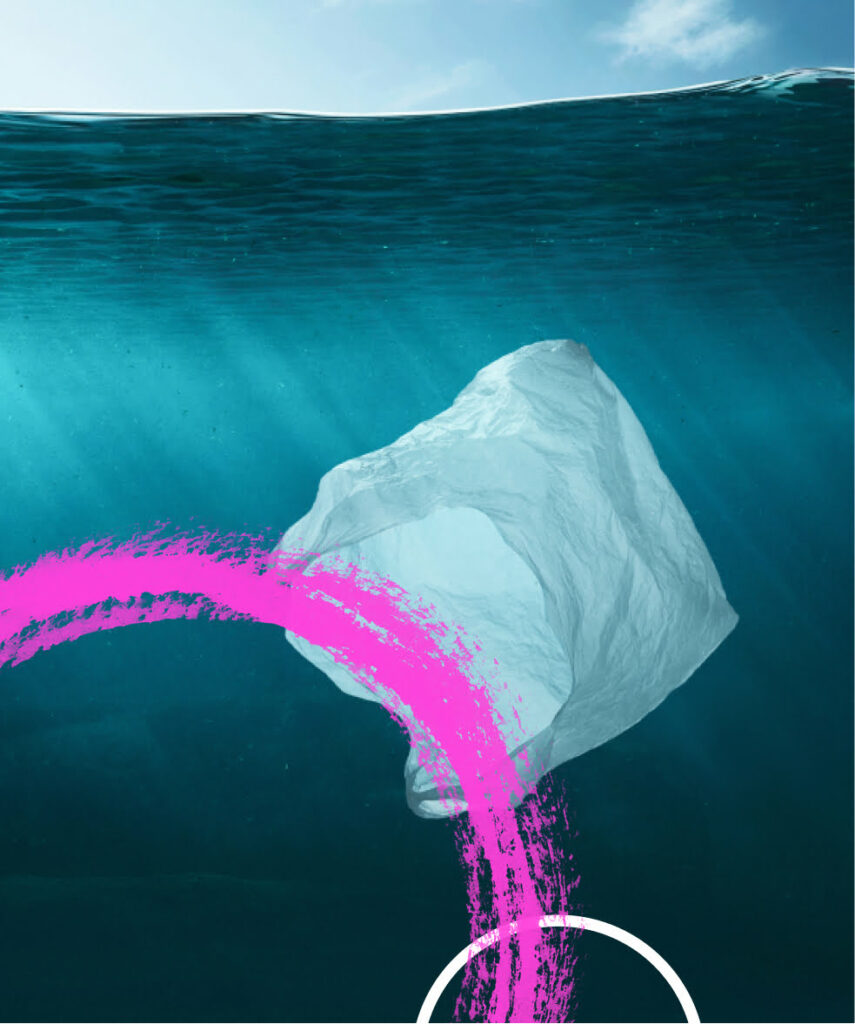 Plastic circularity advocates - Sonae